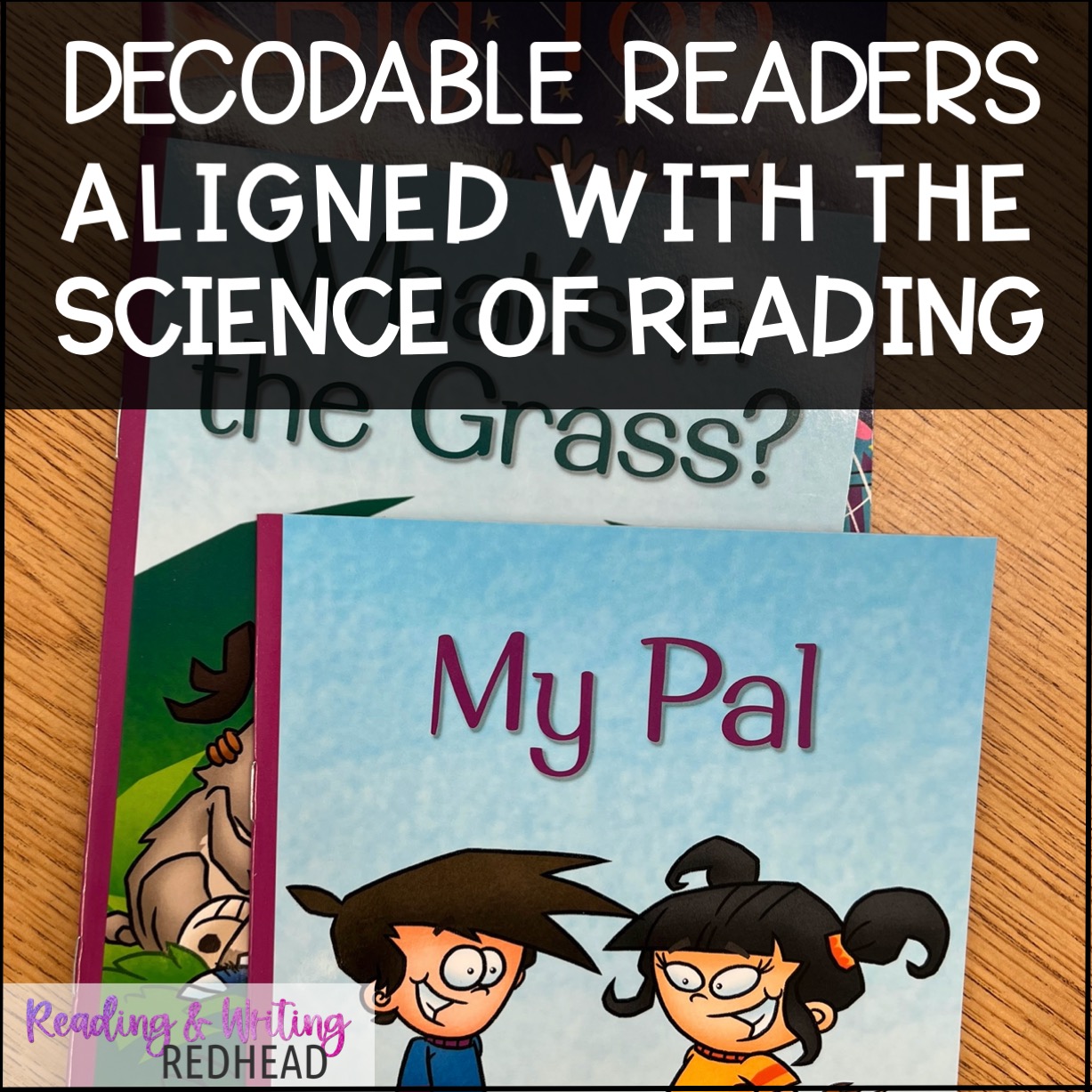 10 Decodable Readers Aligned with the Science of Reading
